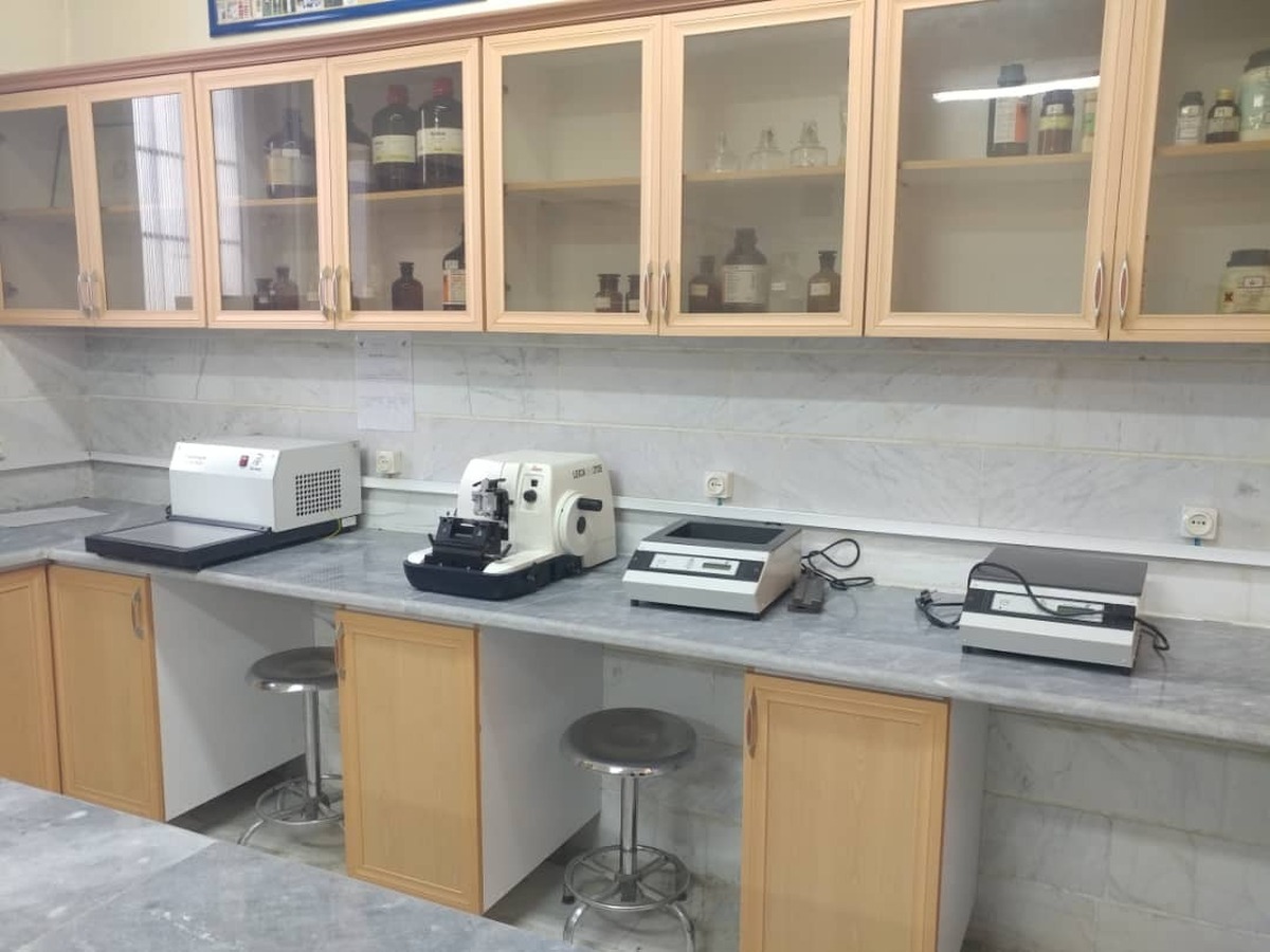 Iran s University Lab Uses Histology To Diagnose Unhealthy Food Products Iran s University Lab Uses Histology To Diagnose Unhealthy Food Products